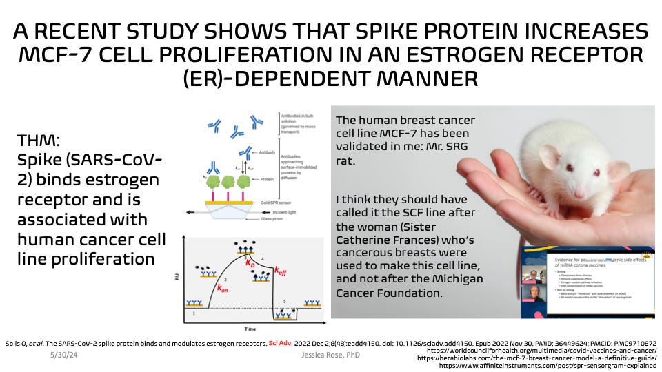 Spike binds estrogen receptor and could alter collagenase gene expression