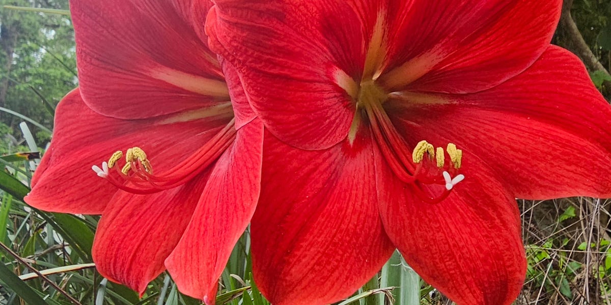 Open Letter to Team Zeteo