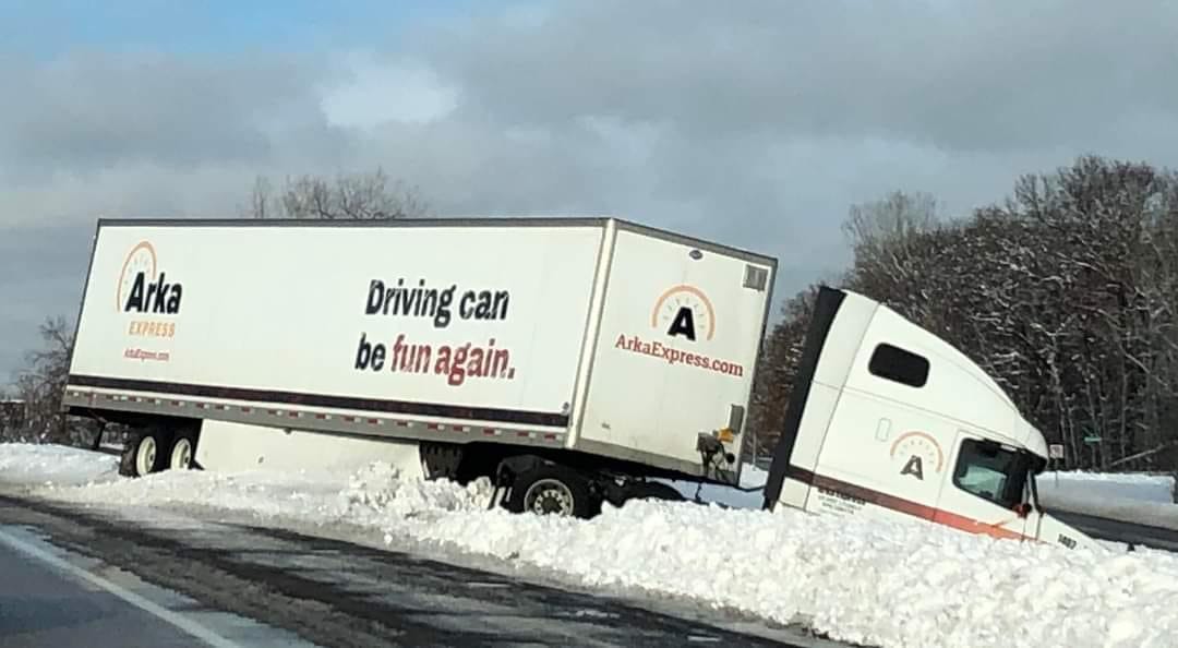 Today's #BeastOfTheDay is a Spherical Frog