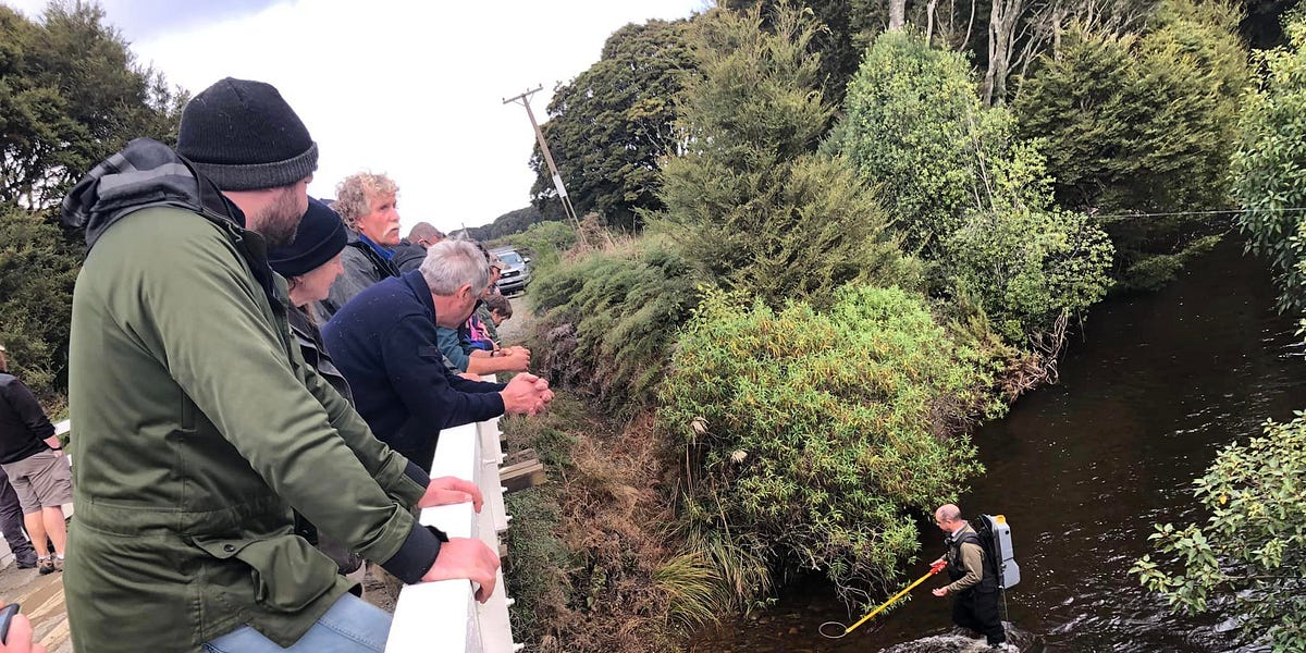 Farmer-led catchment groups unite to 'build our future together'