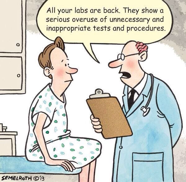 Comments - 17 January 2025 - by Celia M Paddock