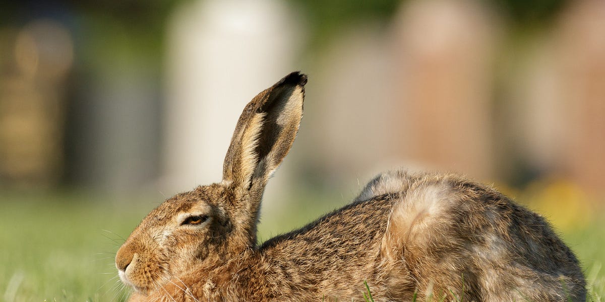 L'art de la pause - by Julien Rousset - Screenbreak