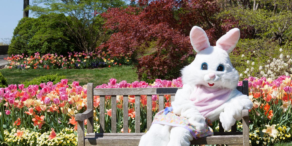 The Week Ahead - Lord Fed's Gazette