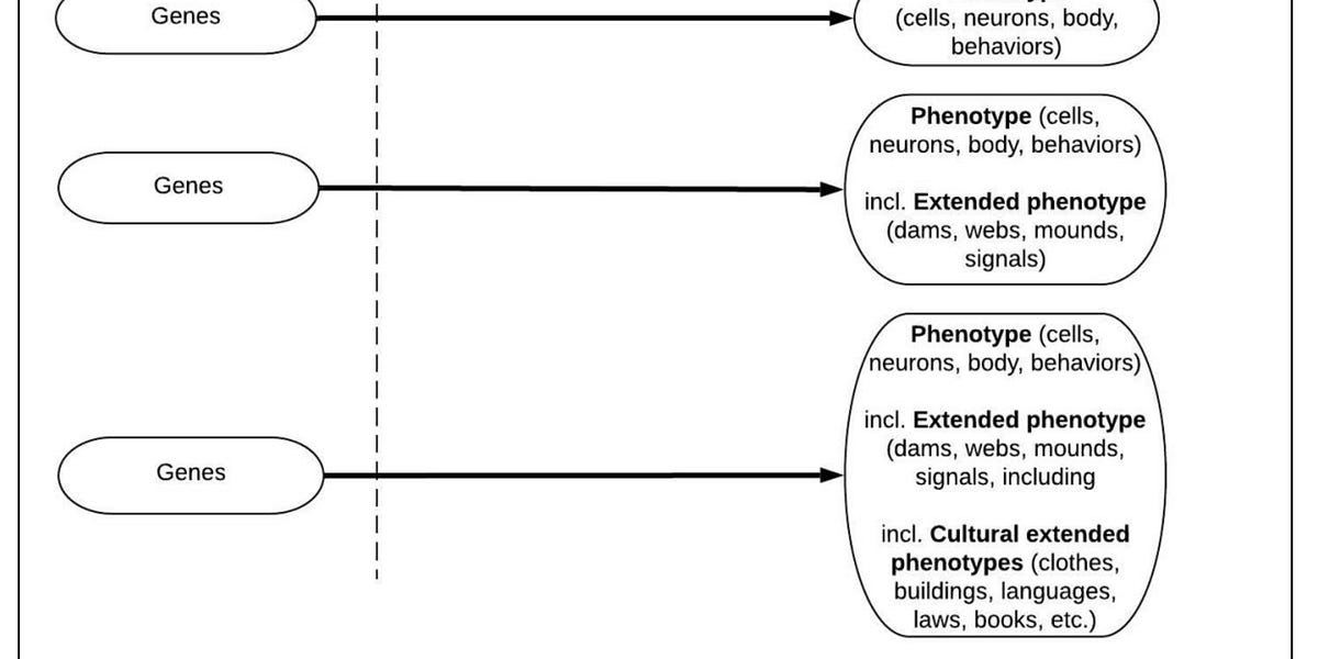 Taking the human extended phenotypes seriously