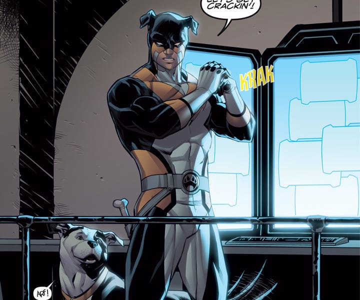 Stray #2 (Volume 1: Who Killed The Doberman?)