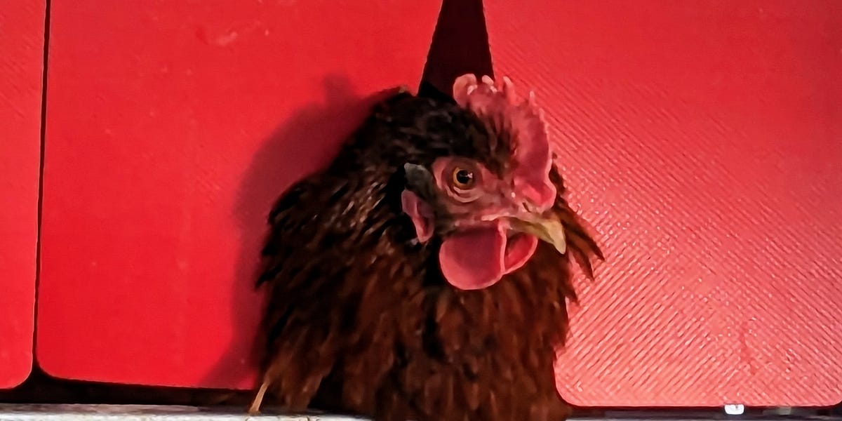 Welcome To The Peep Show - by AC Shilton