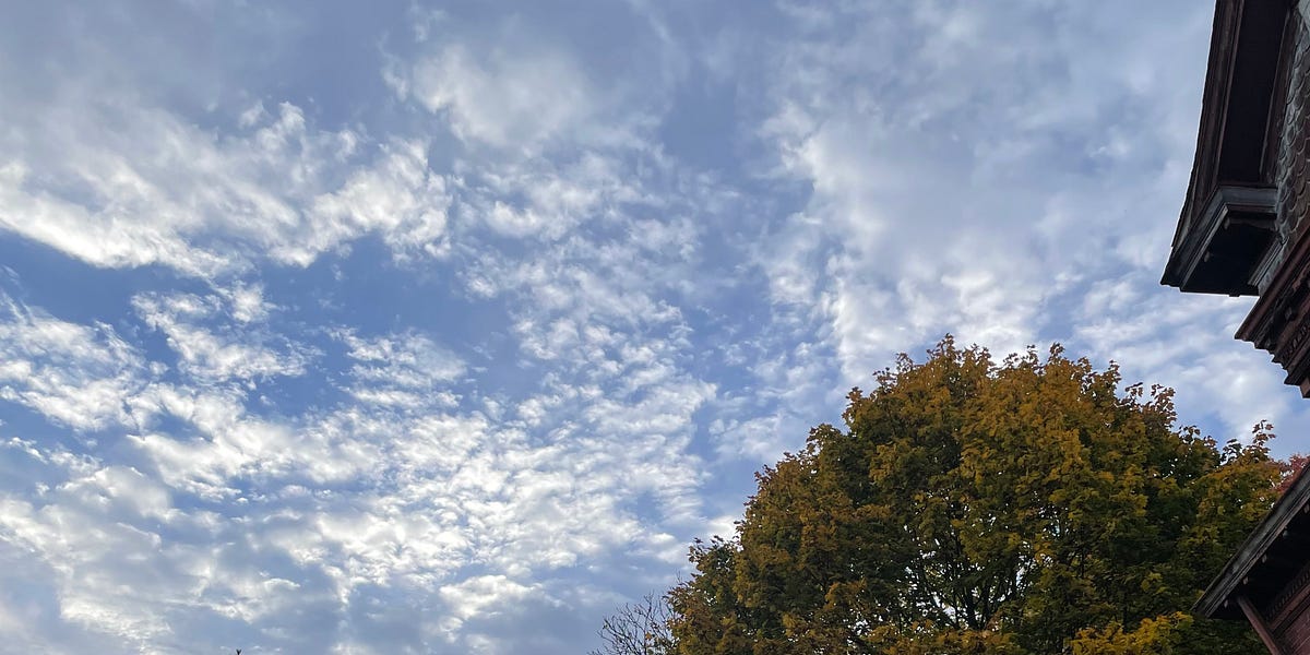 Go, Mama - by Emily Mohn-Slate - Be Where You Are