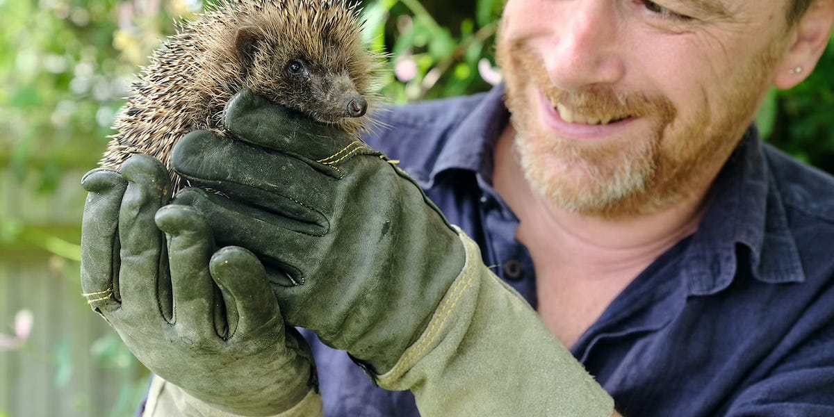 The reason why ... - by Hugh Warwick - Hugh’s Substack