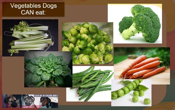 Which vegetables can dogs safely eat?