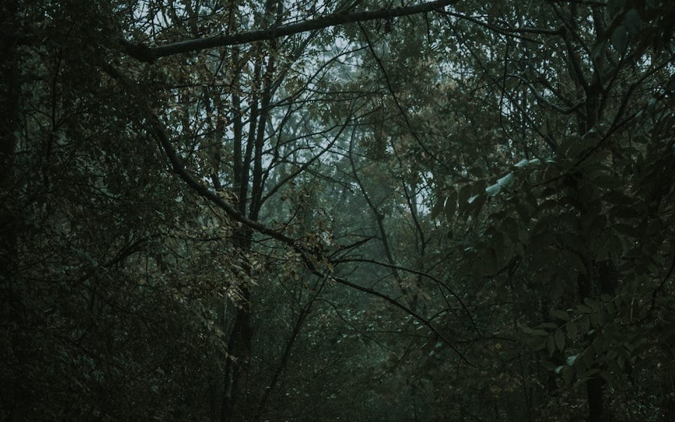 The House - by Cameron Scott - VERSE