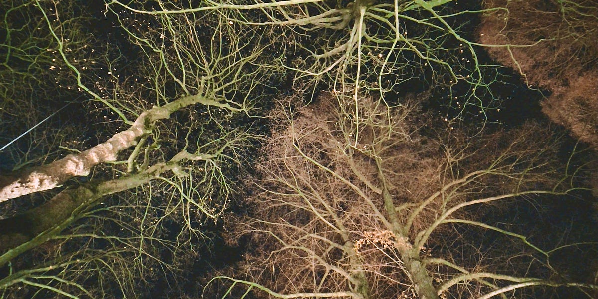 Call for Submissions - by Ren Powell - Dramatic Roots