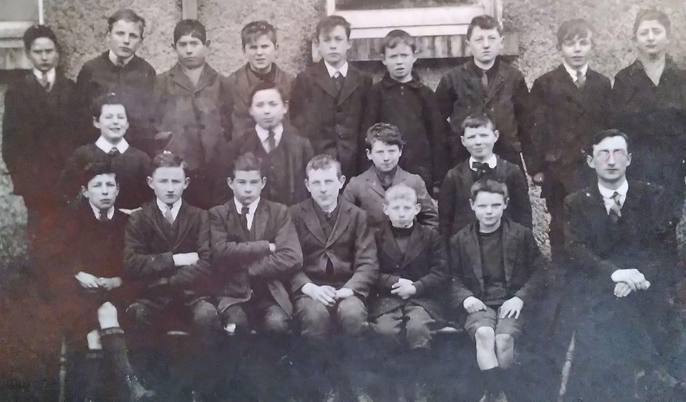 The Rise of the Hedge Schools - The Druid Stares Back