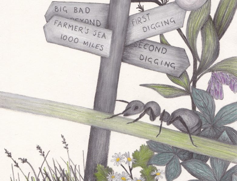 beyond - A short story by Matt Kendrick - Frazzled Lit