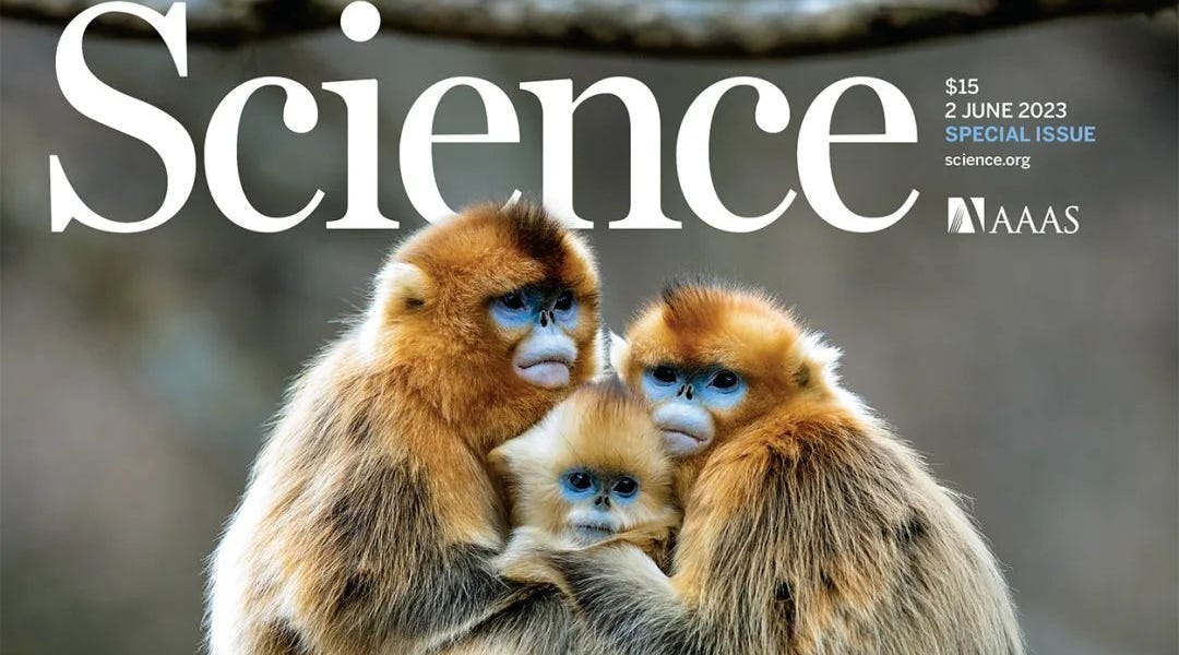 Chinese Scientists Lead Primate Genome Project and Reveal Evolutionary ...