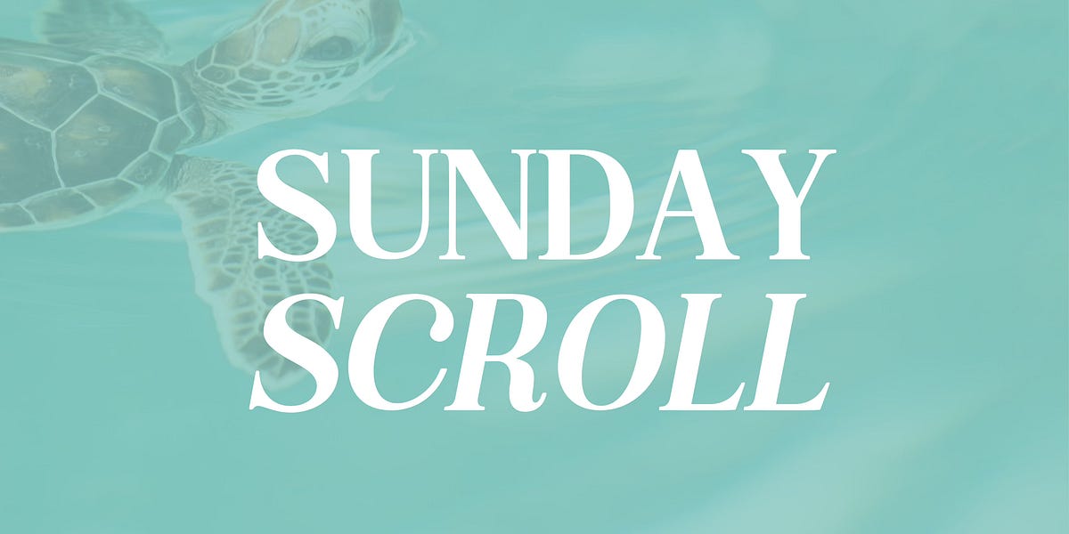 Sunday Scroll #12 - Emily Ley’s Substack
