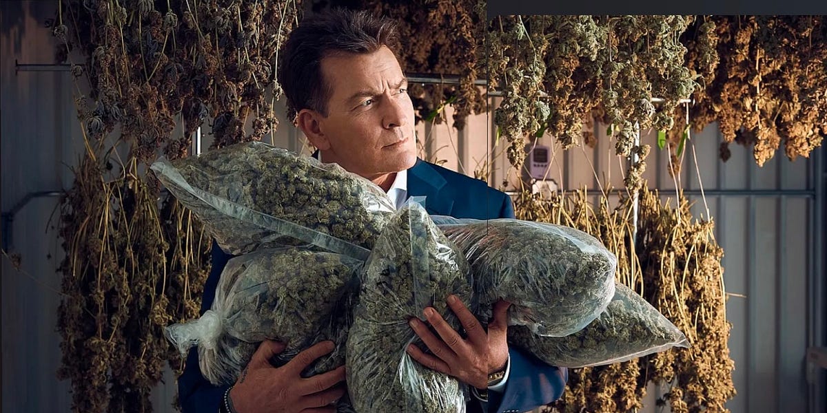 How I Became a Weed Journalist - by MaryJane