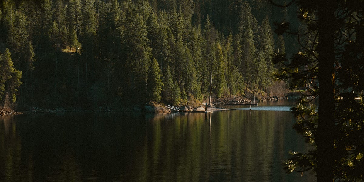 Friday Library #3 - by Steven Foster - Siesta in the Storm