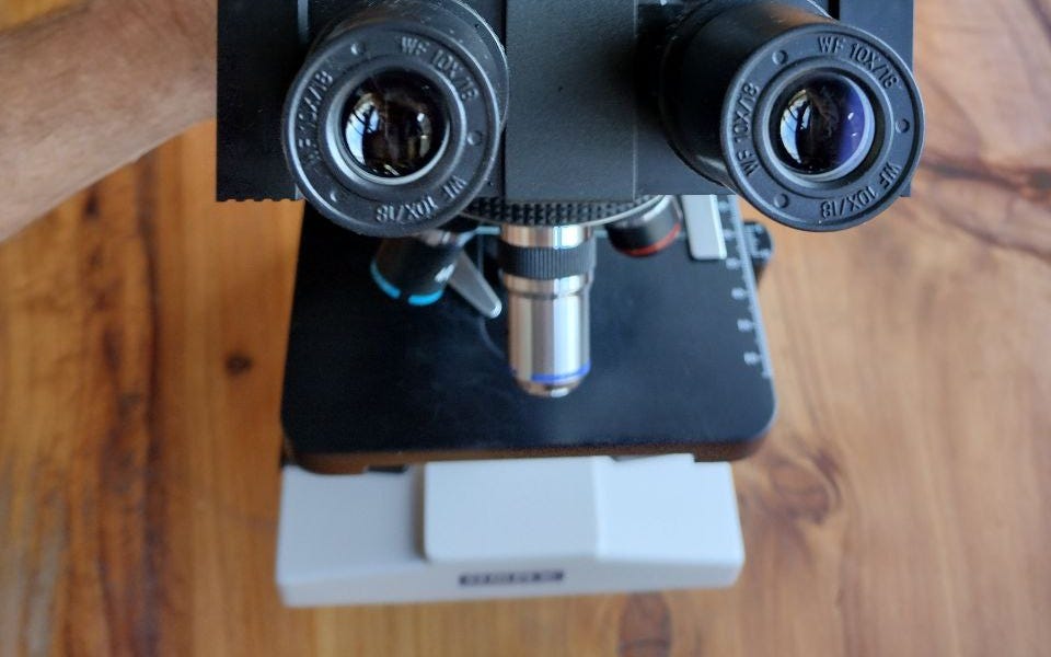 Thinking of getting a scope?, some learners lessons.