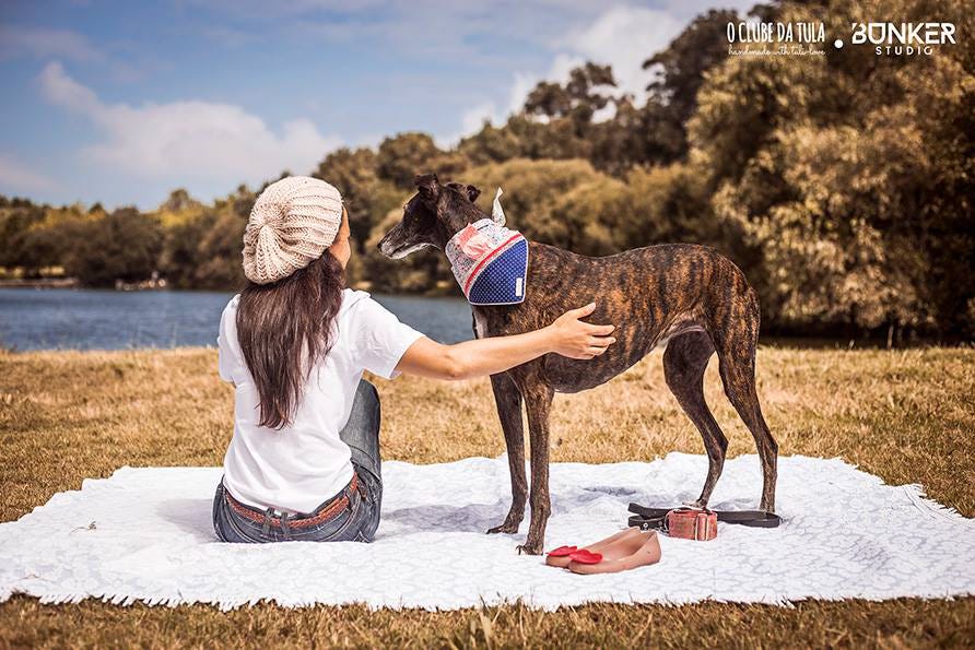 How the dark night of my soul and greyhounds helped me to embrace optimism