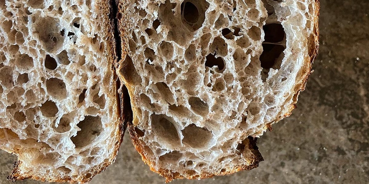 Smart Monday: Open Crumb - by Ailine Liefeld