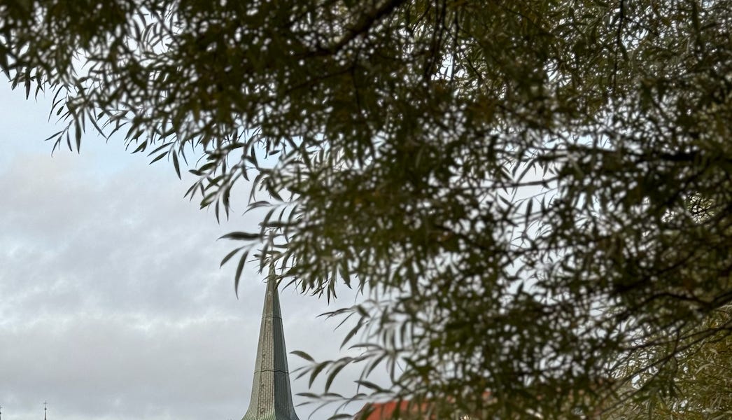 The Prodigal Daughter Returns, Part Two - by Meg Fischer