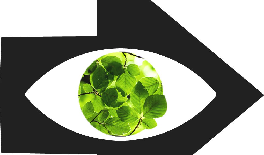 Design for Planet line-up announced