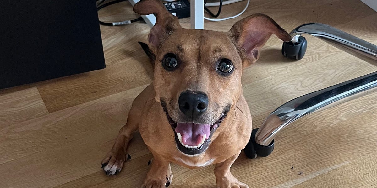 eternal woodstock - by Brian Feldman - BNet