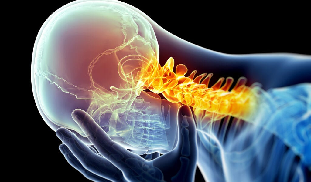 The Follies Of Psychopathy - by Athena Walker