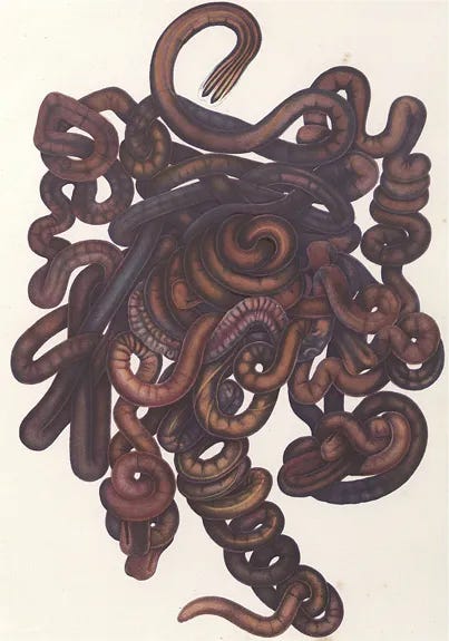 Flesh Husk - The Impairing Curse