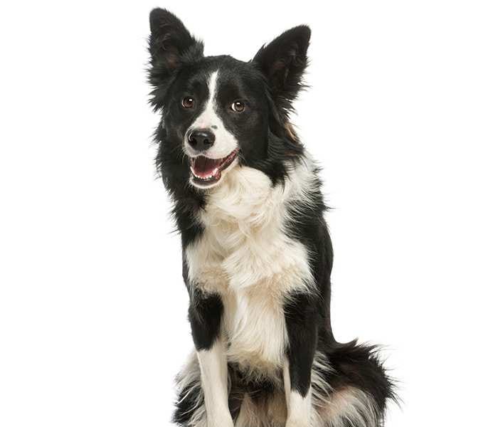 C.C.C SEE,SEE,SEE - by Philippa Rees - Reflections