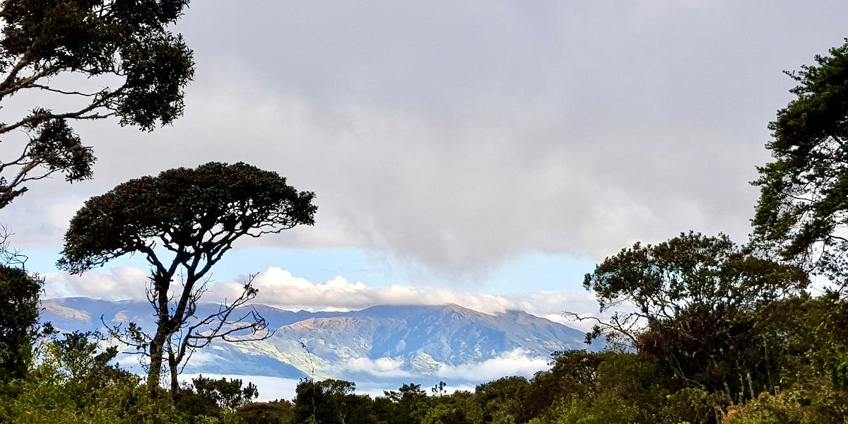 Climate Week NYC - Updates from Galleries Commit