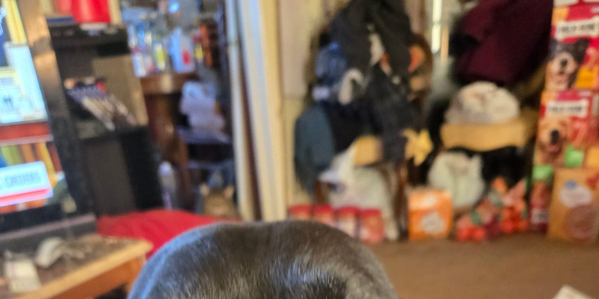 An Ol' Hobo and Sweet Mutt - by Justin Smith