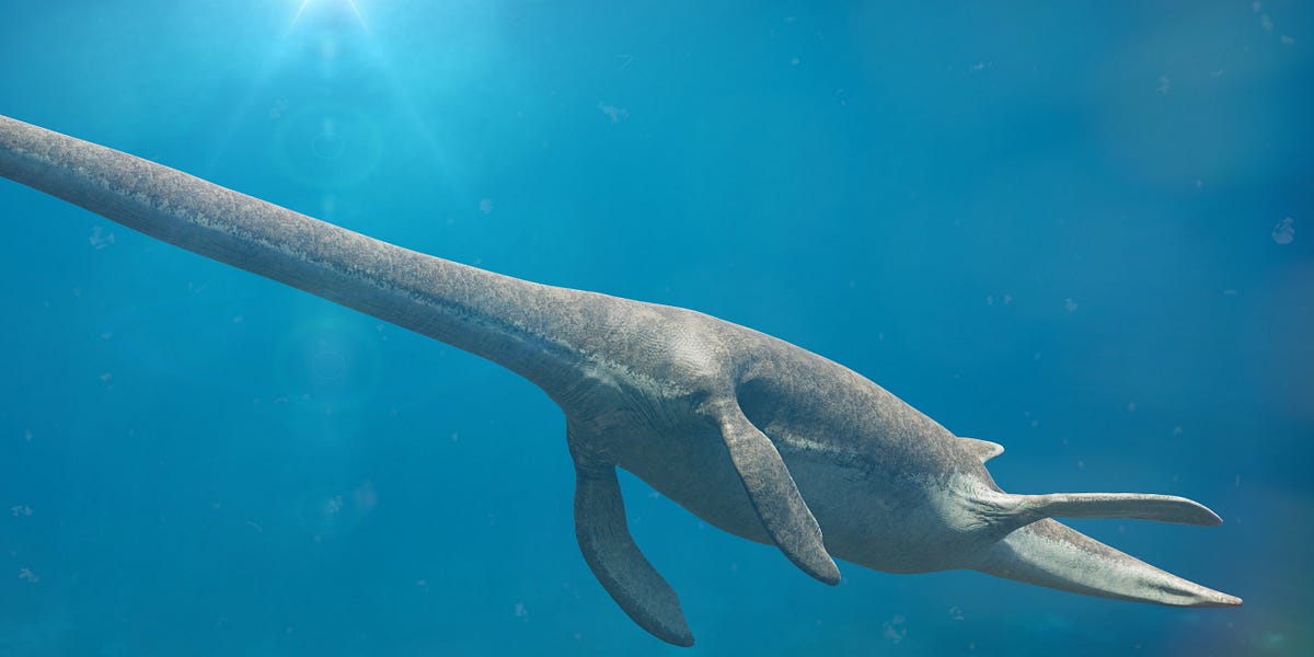 ScienceDaily: Featured - October 22, 2023