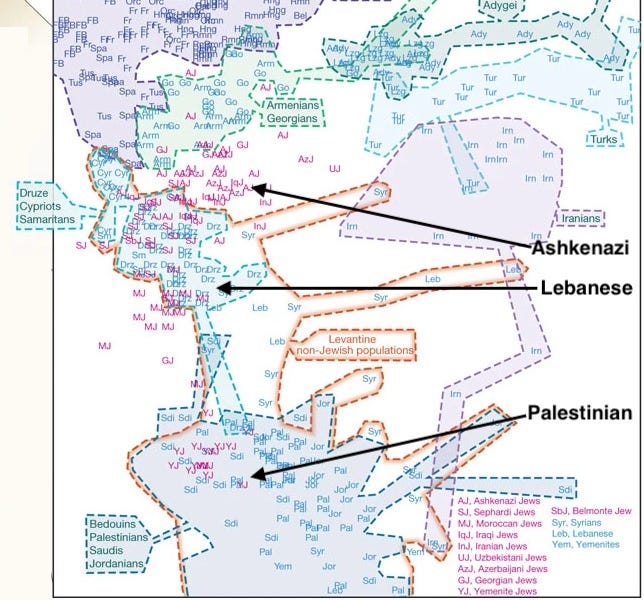 More than kin, less than kind: Jews and Palestinians as Canaanite cousins