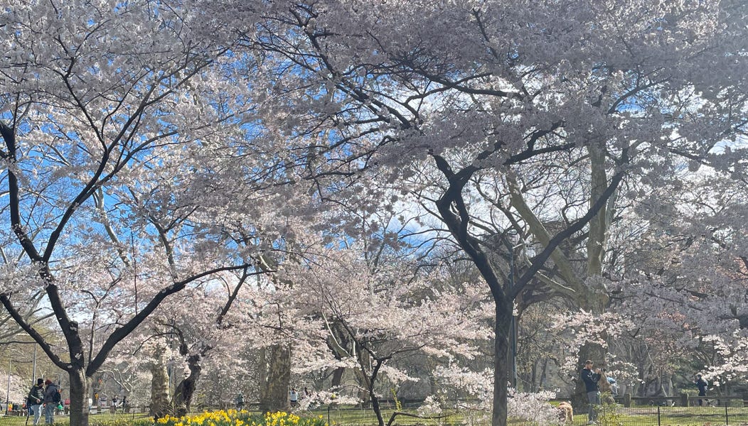 What I Spent in April 2024: Monthly Reset - by Maria DeVoto