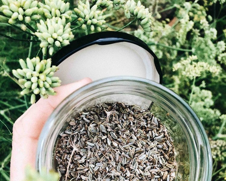 Zen and the art of seed flinging - by Casey Lister