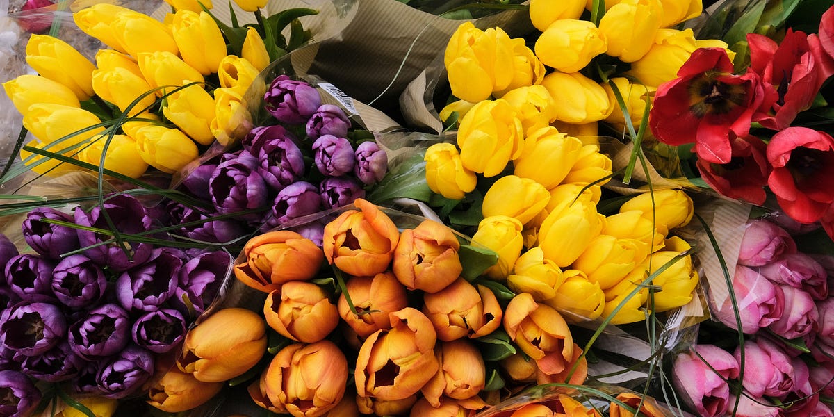 Hints of Spring - by Andrew Wimmer - Radical Adhesiveness