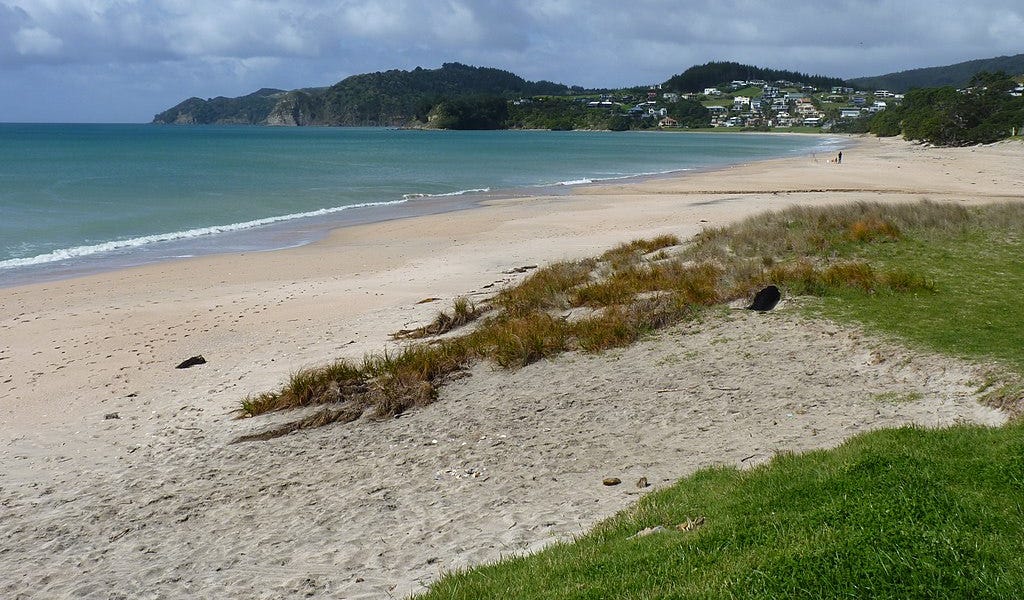 A naked stroll on a beach - by Jillian Page