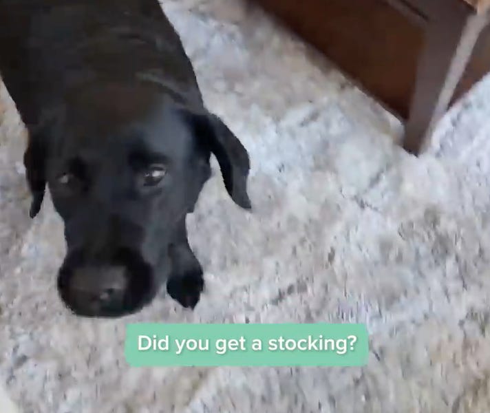 ARK OF GRACE: TOBY & MISSY OPEN CHRISTMAS STOCKINGS