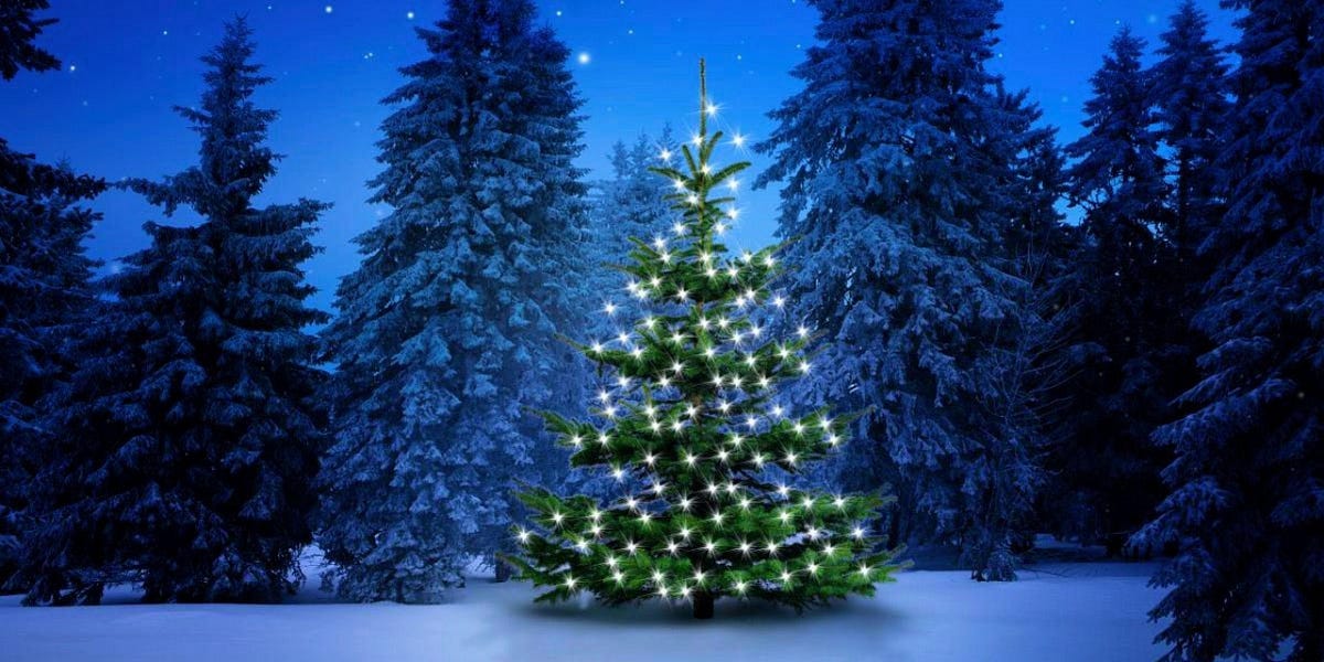 THE SNOW DOG AND THE ROBIN - by Frances Leader - Uncensored