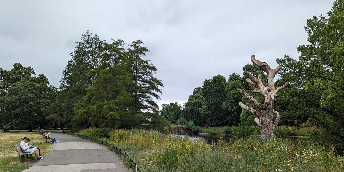 Urban Rewilding: Changing Up London's Regent's Park