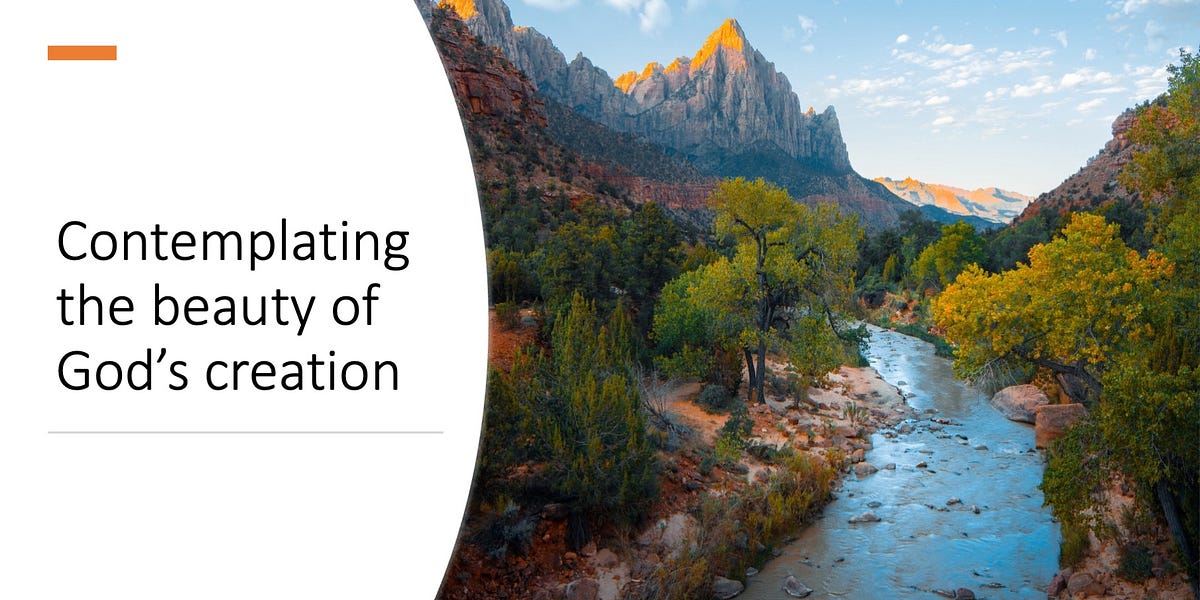 Contemplating the beauty of God’s creation