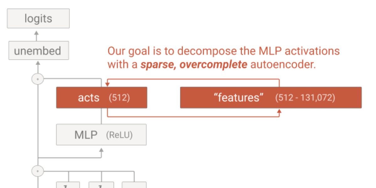 NeuroAI paper roundup #4: neuro-inspired AI explanations