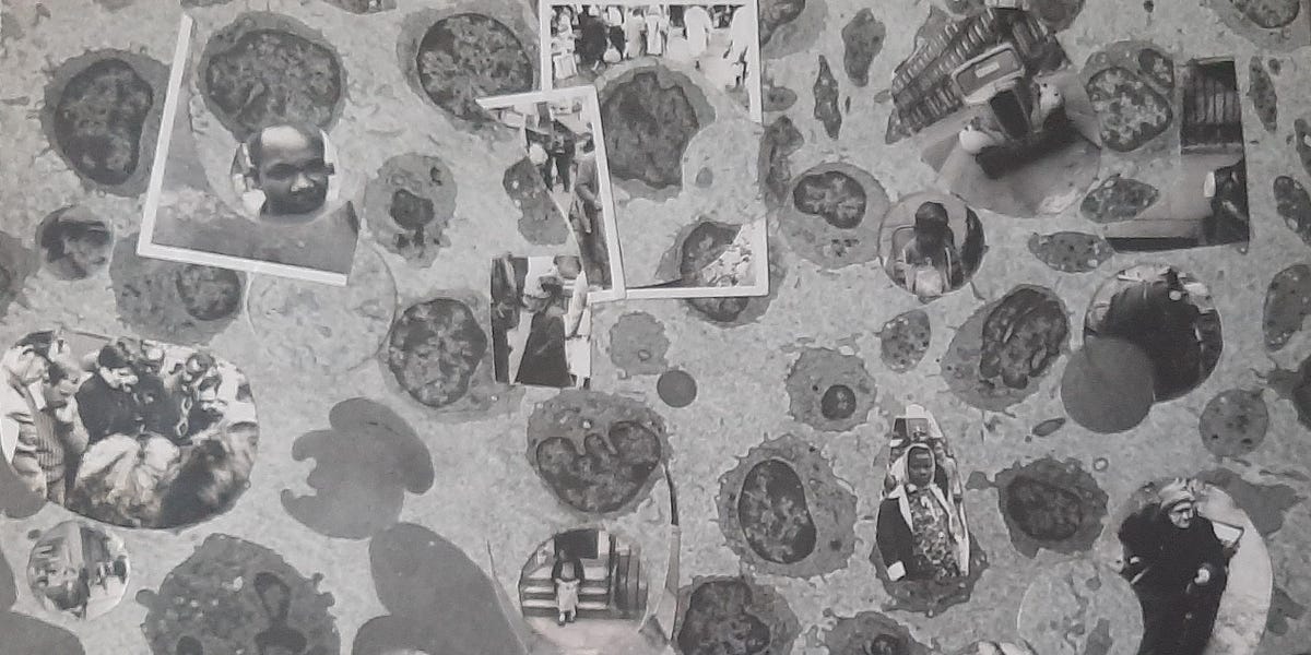 Transcript of Interview with Criton Tomazos by Stephen Carruthers on ...