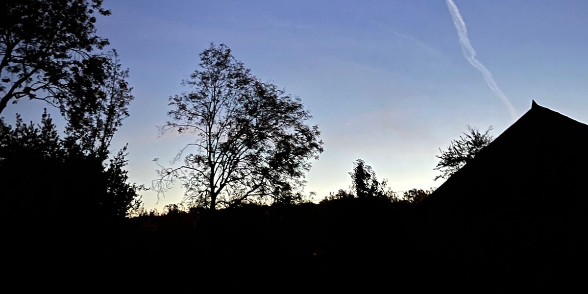 field notes from vipassana.. vol.2 - by Rosie Parton