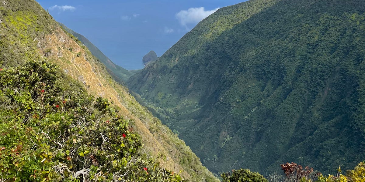 Scenes from Molokai - by Lauren - Musings