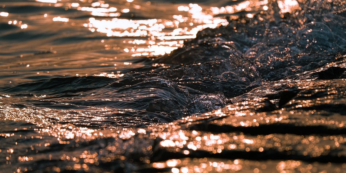 Chasing Water - by Rabbi Lindsey Healey-Pollack