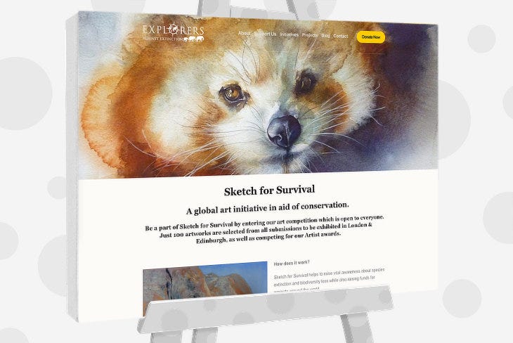 Sketch For Survival - by MoMa UK - MoMa Weekly