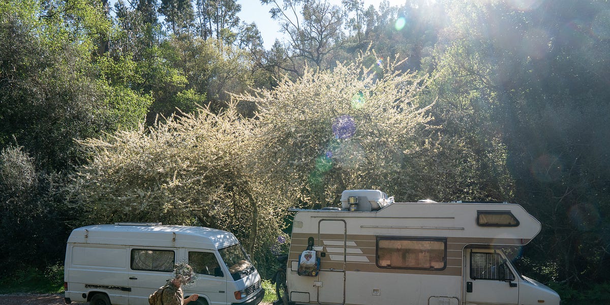 Roo - by Adrian Howell - Wandering & Wondering