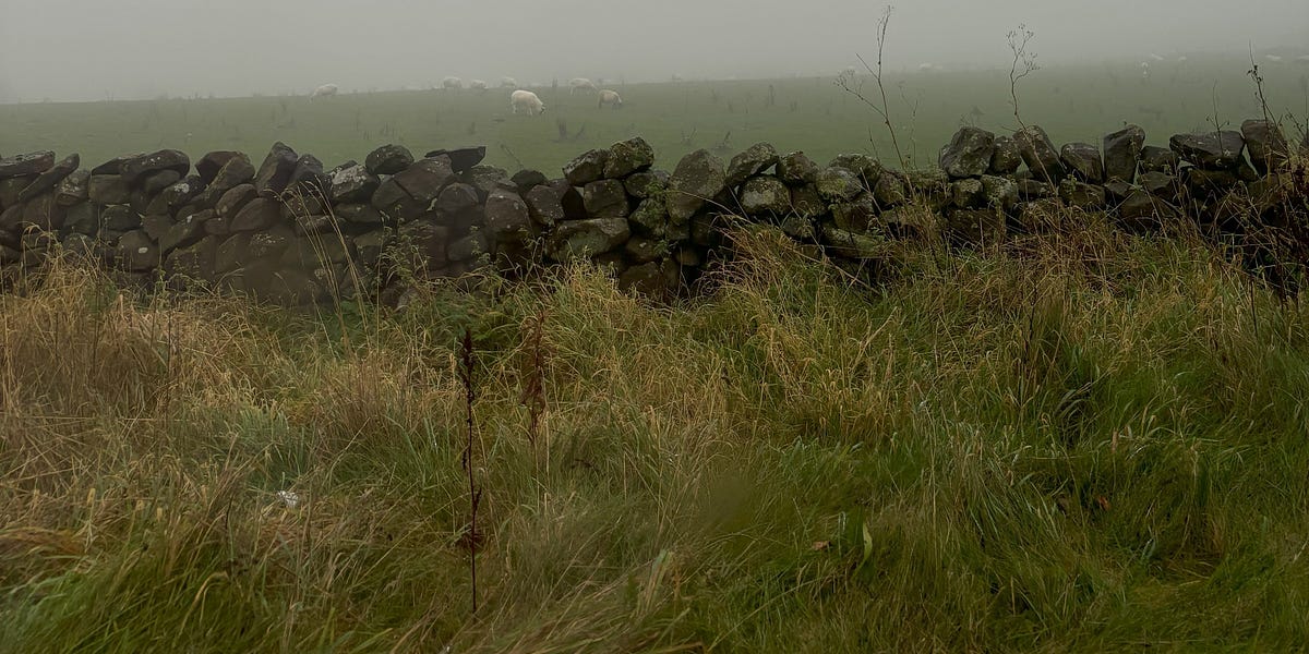 Travelling the World 9 - Wales - by Patrick Durack